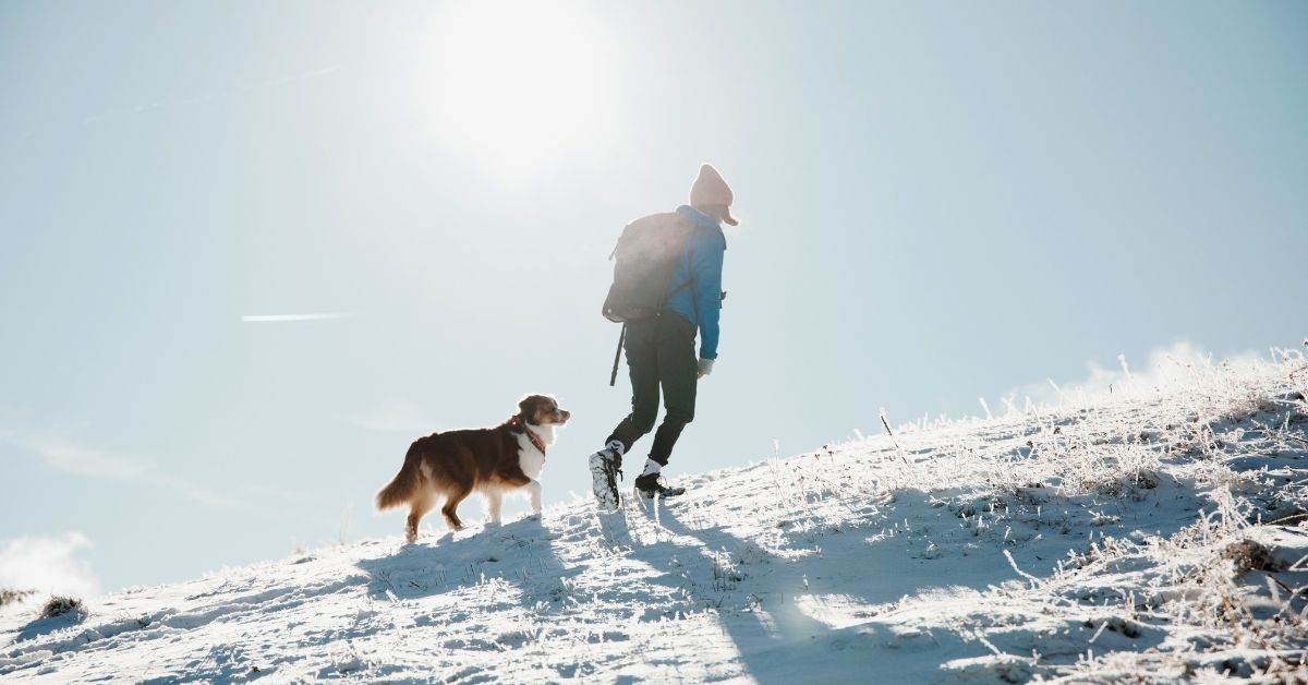 Top Tips for Getting Fit With Your Dog - Adriana Albritton